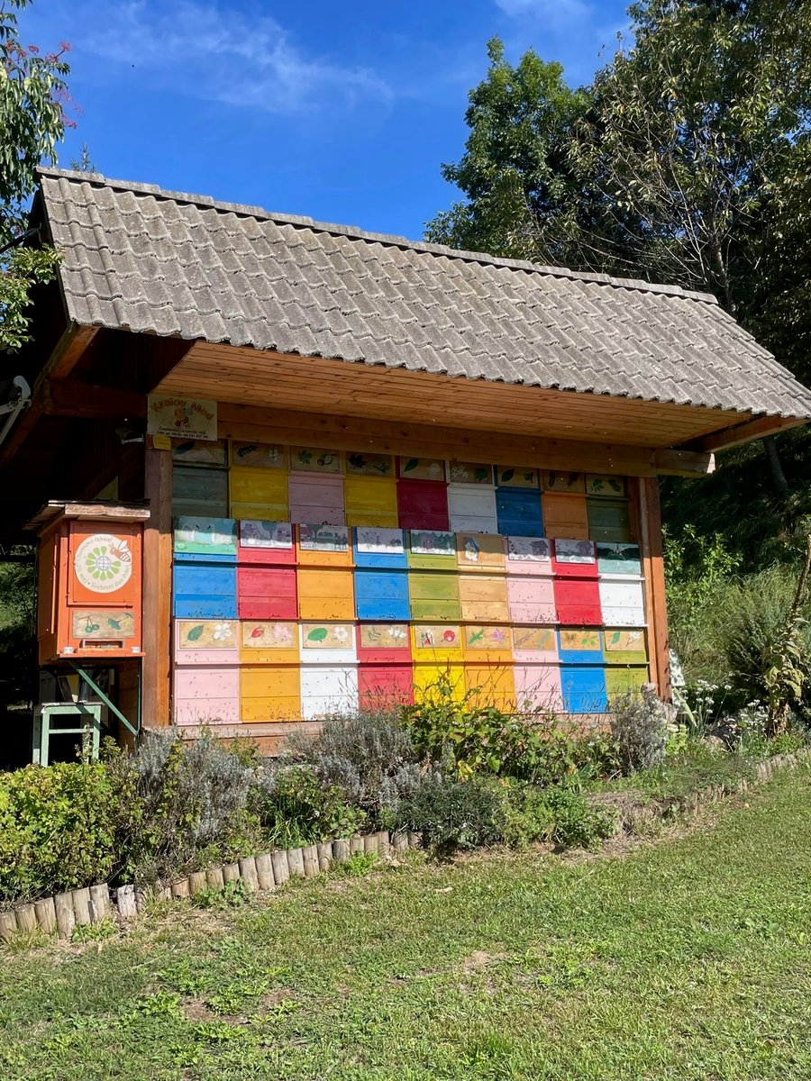 Bee Culture in Slovenia a unique travel experience