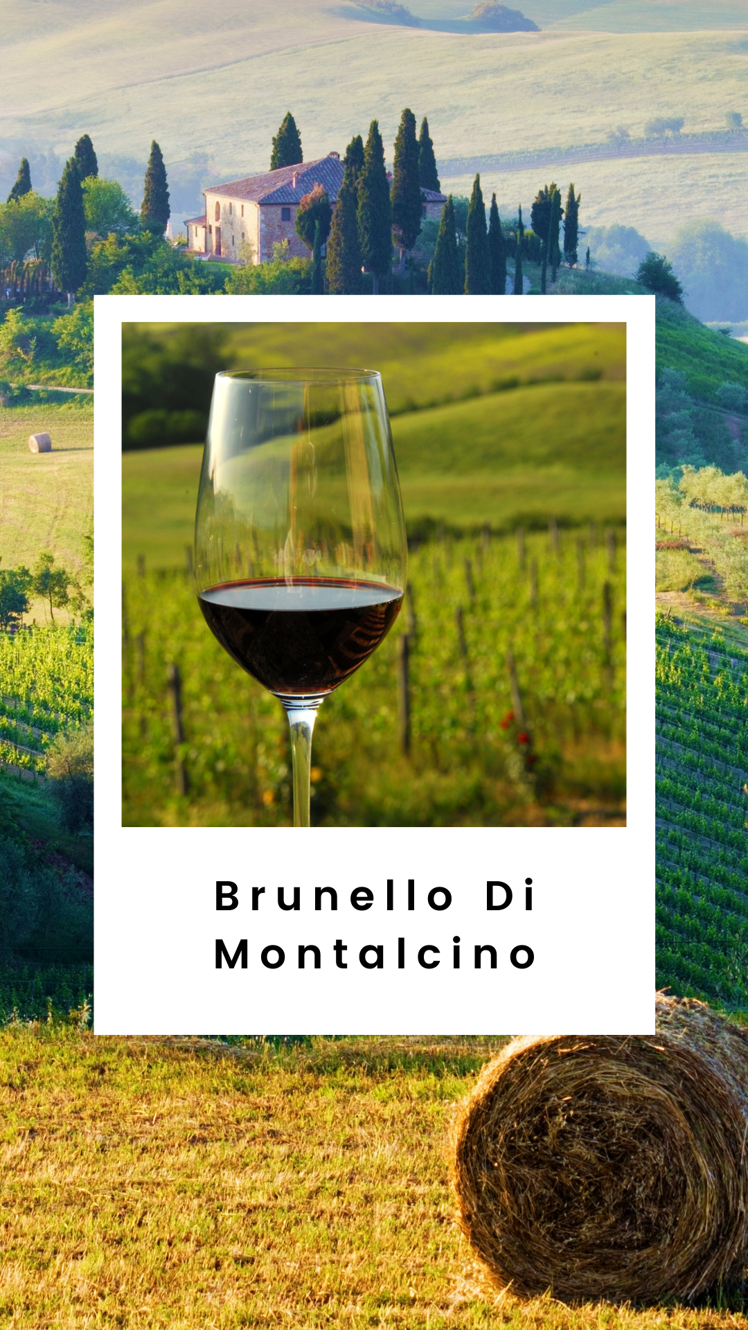 Introduction to Tuscan wine - Brunello Di Montalcino